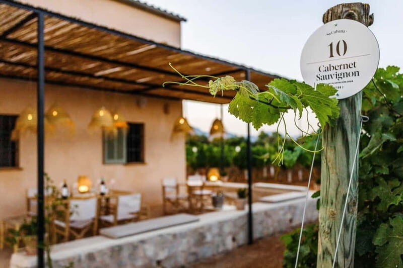 Mallorca: Sunset Wine Tasting Minibus Bodega Tour - FAQ