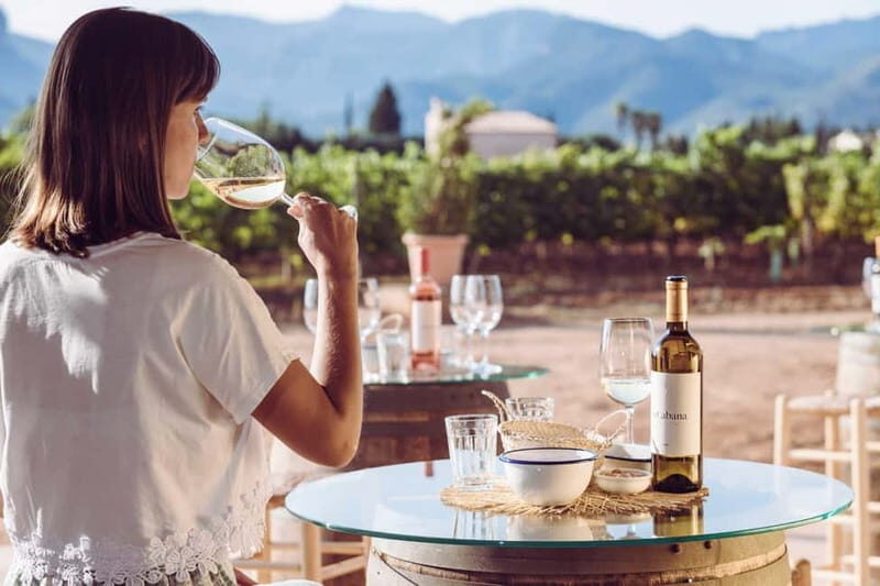 Mallorca: Sunset Wine Tasting Minibus Bodega Tour - Final Thoughts