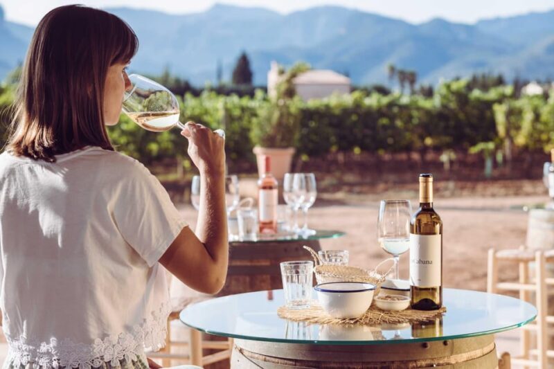 Mallorca: Sunset Wine Tasting Minibus Tour - ENGLISH GUIDE - Mallorca: Sunset Wine Tasting Minibus Tour - ENGLISH GUIDE