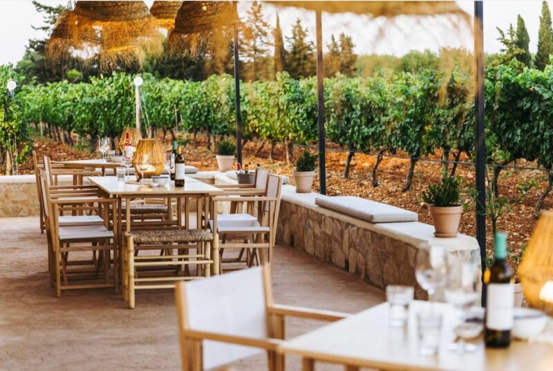 Mallorca: Sunset Wine Tasting Minibus Tour - ENGLISH GUIDE - Practical Tips & Considerations
