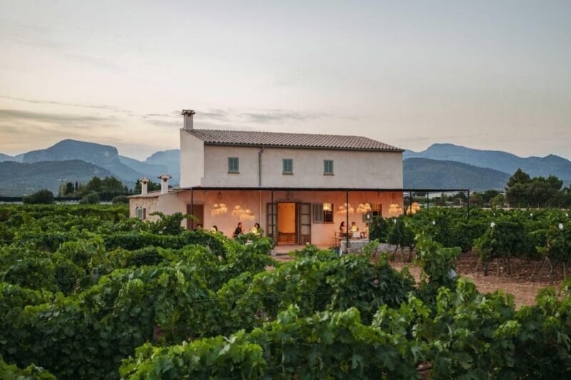 Mallorca: Sunset Wine Tasting Minibus Tour - ENGLISH GUIDE - FAQ