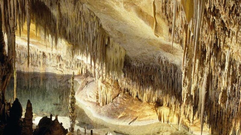 Mallorca: Ticket for Caves of Drach with Pickup Service - Free Time and Porto Cristo