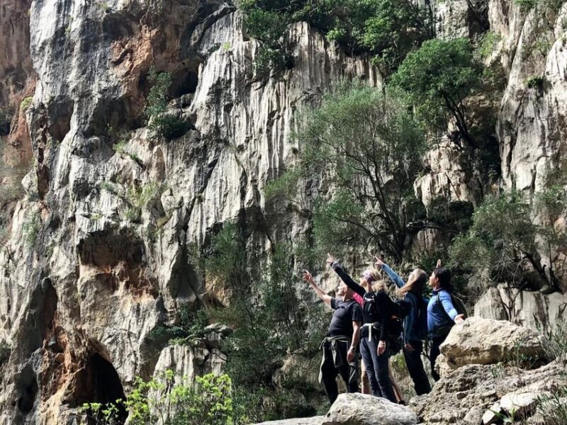Mallorca: Torrent de Pareis Hiking Adventure - Key Points