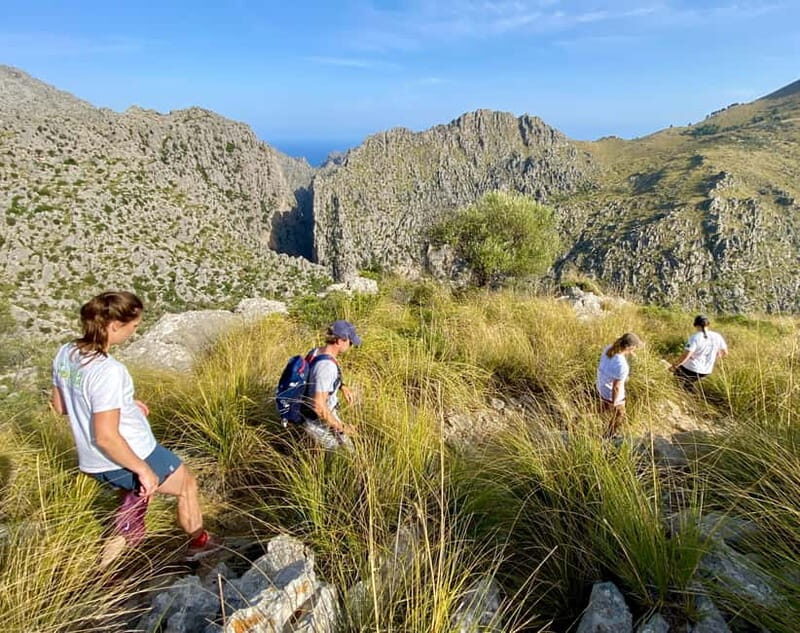 Mallorca: Torrent de Pareis trekking Adventure - Introduction: A Genuine Adventure in Mallorca’s Wild Heart