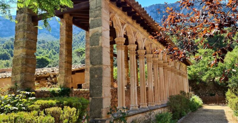 Mallorca: Tramuntana Mountains Tour with Local Guide & Lunch - The Overall Experience: What to Expect