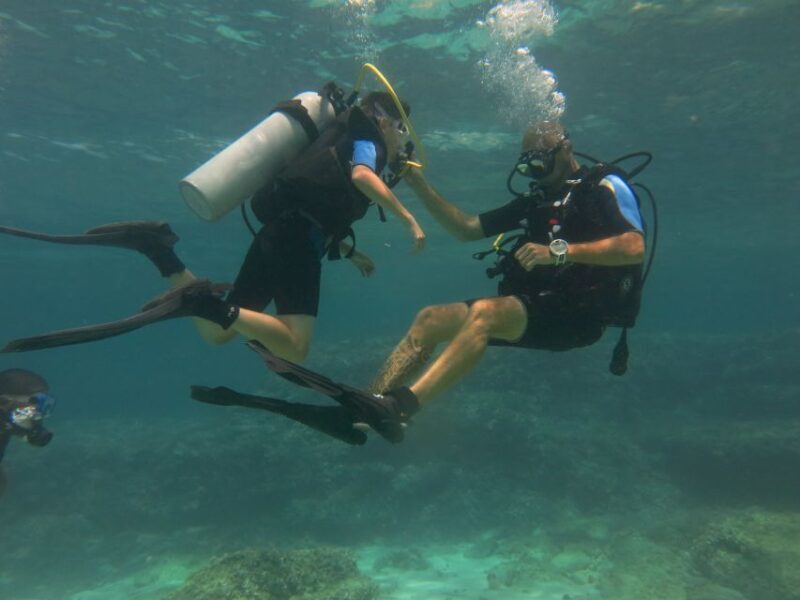 Mallorca: Try Out Scuba Diving in a Marine Nature Reserve - Transportation and Meeting Points