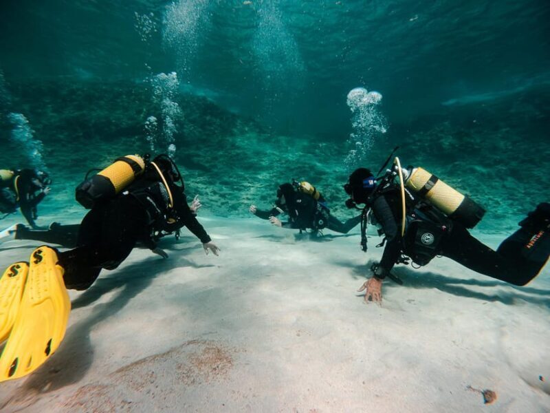Mallorca: Try Scuba Diving by Boat - Key Points