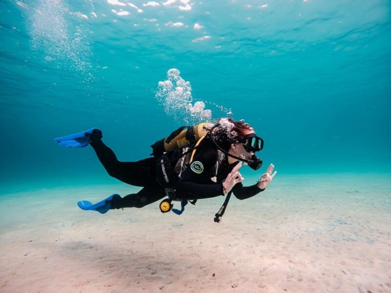 Mallorca: Try Scuba Diving by Boat - An In-Depth Look at the Mallorca Scuba Experience
