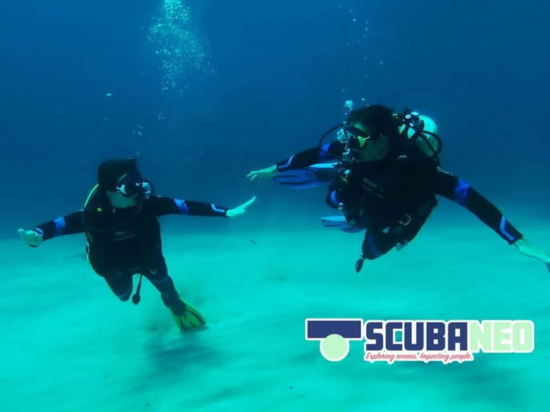 Mallorca: Try Scuba - try diving from a boat with an SSI instructor - Overview of the Experience