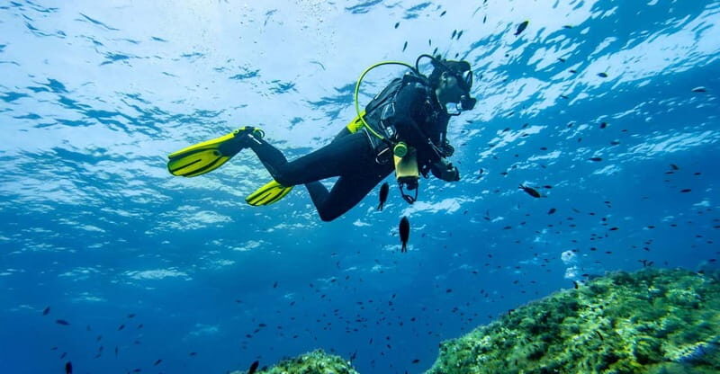 Mallorca: Try Scuba - try diving from a boat with an SSI instructor - Price and Value