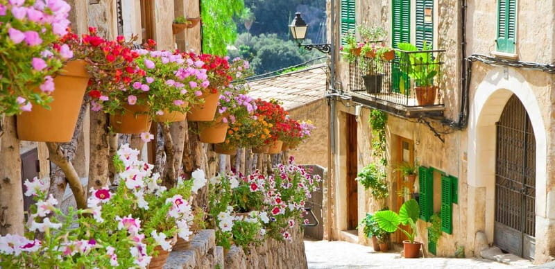 Mallorca: Valldemossa and Wine Tasting - Ultra Small group - Key Points