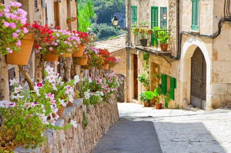 Mallorca: Valldemossa & Soller Tour - An Expert Overview of the Mallorca Experience