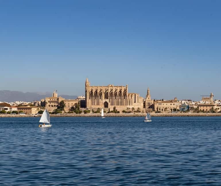 Mallorca: Visit Palma Speedboat adrenaline & snorkelling - What’s Included & What’s Not