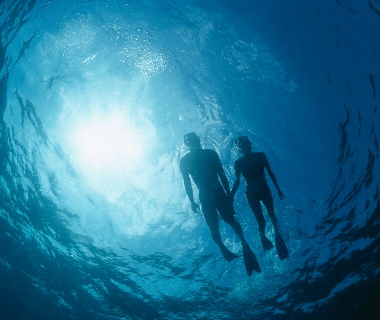 Mallorca: Visit Palma Speedboat adrenaline & snorkelling - FAQ
