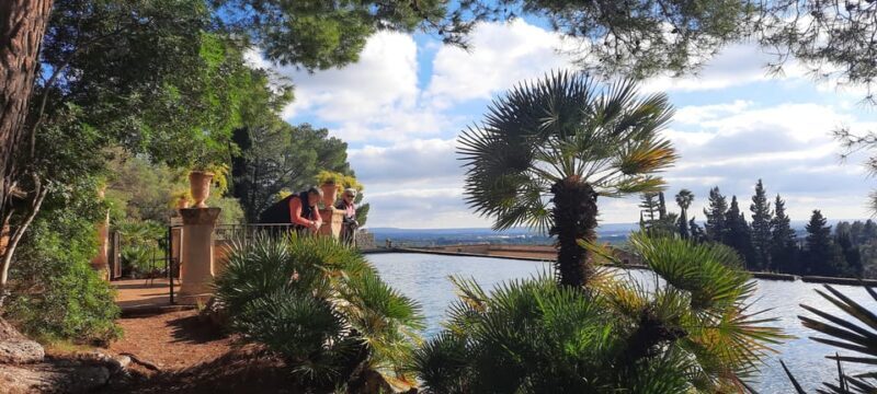Mallorca: West Coast & Orange Valley Minbustour GERMAN GUIDE - What Makes This Mallorca Tour Stand Out