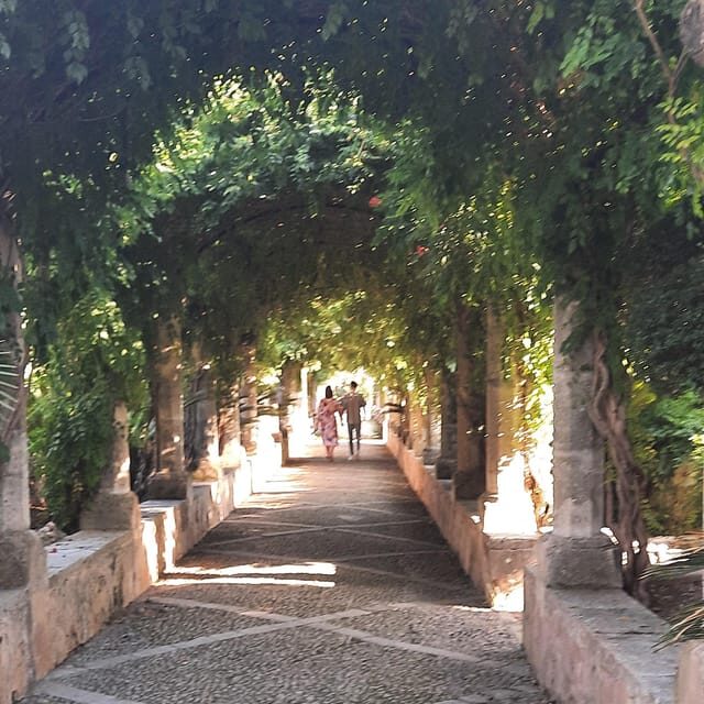 Mallorca: West Coast & Orange Valley Minbustour GERMAN GUIDE - Who Should Take This Tour?