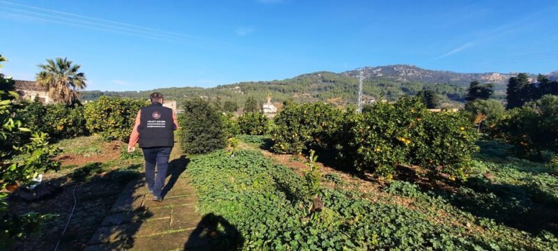 Mallorca: West Coast & Orange Valley Minbustour GERMAN GUIDE - FAQs