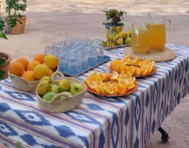 Mallorca: West Coast & Orange Valley Minbustour - The Sum Up