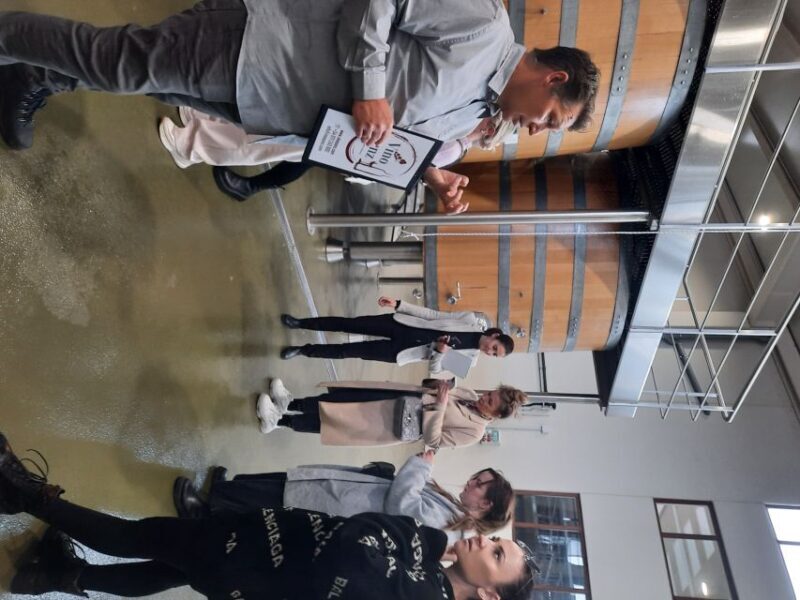 Mallorca: Wine Cellar Tour XL - 3 Wine Tastings incl. GERMAN - Key Points