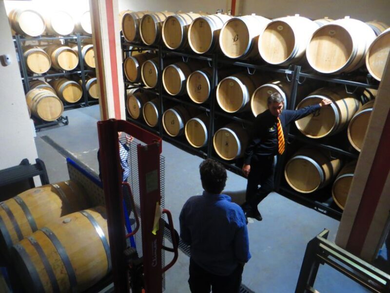 Mallorca: Wine Cellar Tour XL - 3 Wine Tastings incl. GERMAN - The Sum Up: Who Will Love This Tour?