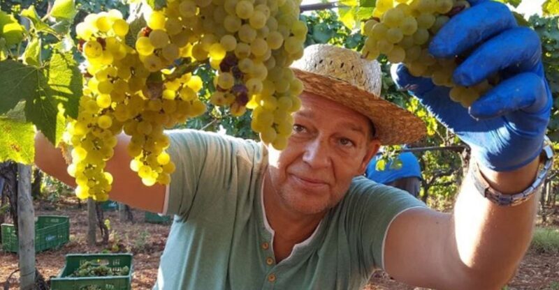 Mallorca: Wine Cellar Tour XL - 3 Wine Tastings incl. GERMAN - FAQ