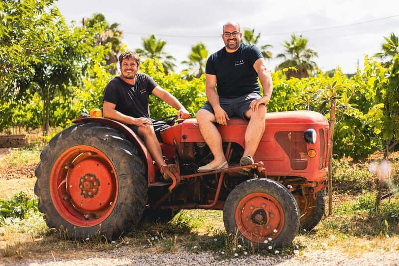 Mallorca: Winery visit and wine tasting, with Mallorcan products - Key Points