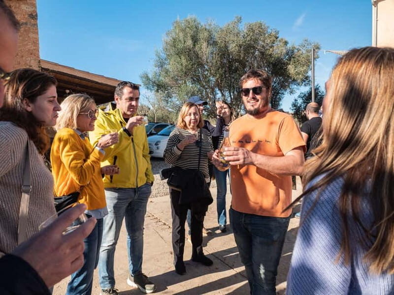 Mallorca: Winery visit and wine tasting, with Mallorcan products - Who will enjoy this tour?