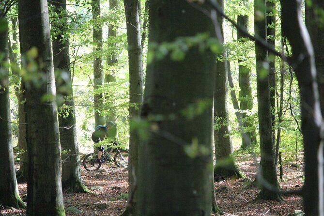 Malmo Bike Rental - Discover Malmö By Bike: An In-Depth Look