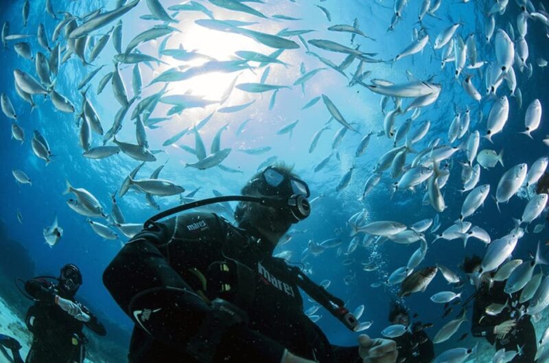Malta: 1-Day PADI Scuba Diver Certification Beginner Course - An Honest Look at the Malta PADI Scuba Diver Course