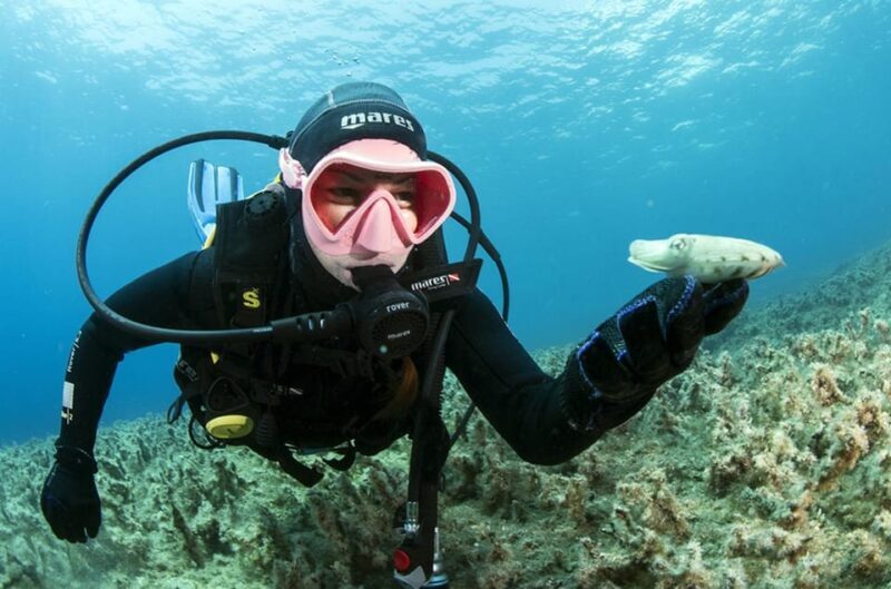 Malta: 1-Day PADI Scuba Diver Certification Beginner Course - Things to Keep in Mind