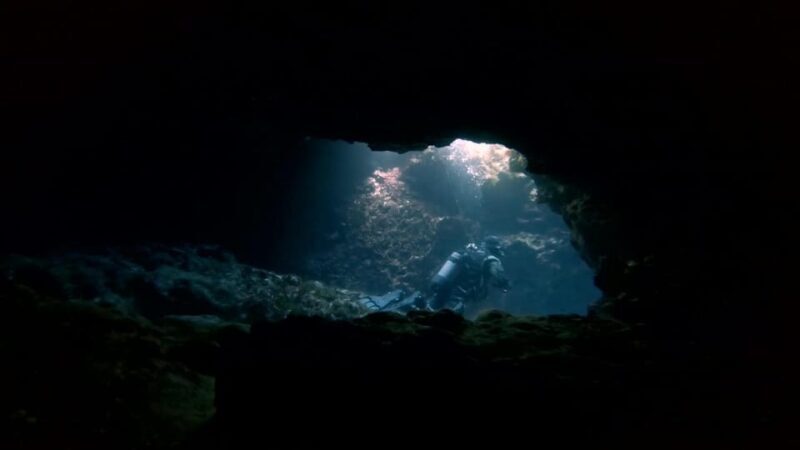 Malta: 2 Guided Dives for Certified Divers with Diving Gear - An Authentic Dive into Malta’s Underwater World