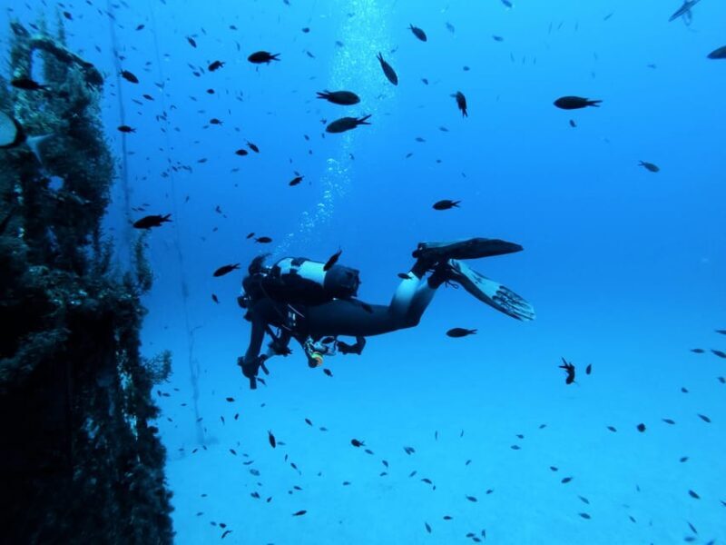 Malta: 2 Scuba Fun Dives for Certified divers - Key Points