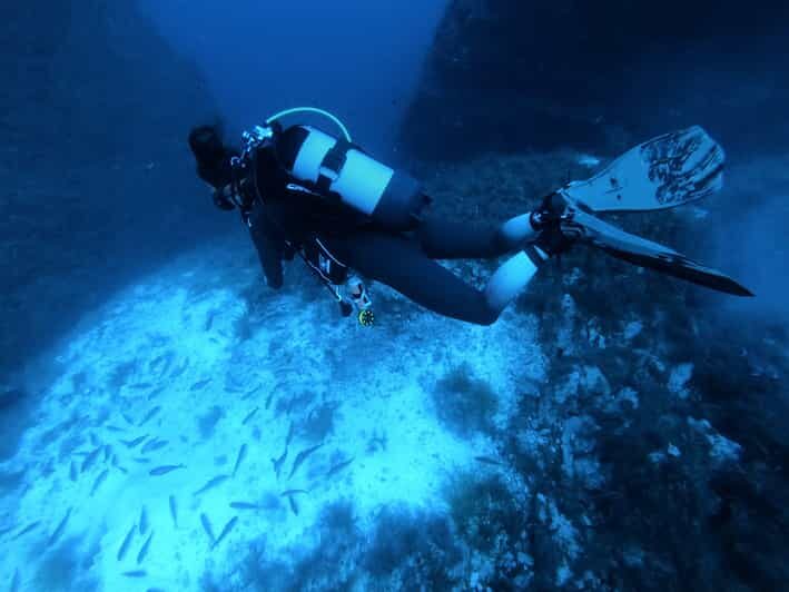 Malta: 2 Scuba Fun Dives for Certified divers - The Itinerary Breakdown