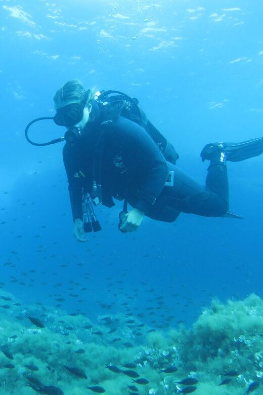 Malta: 2 Scuba Fun Dives for Certified divers - Pricing & Value