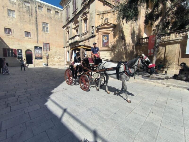 Malta: Ancient Wonders, Coastal Charms, and Cities Tour - Who Might Want to Consider Other Options?
