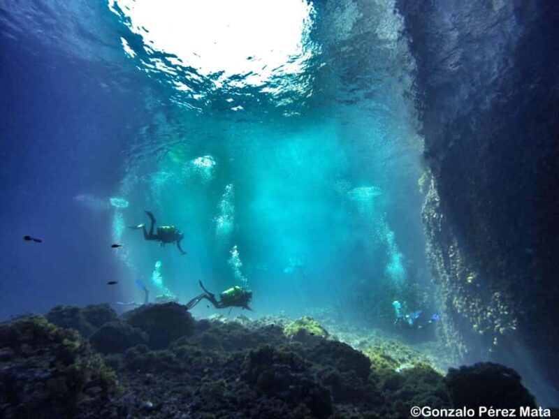 Malta: Beginner Scuba Diving with Dive Registration - Why a Beginner Dive in Malta Is a Great Choice