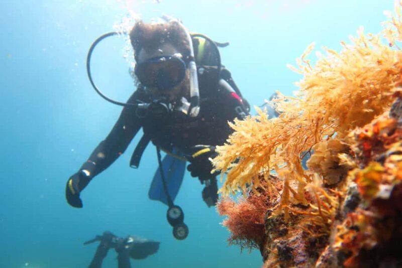 Malta: Beginner Scuba Diving with Dive Registration - What Sets This Tour Apart