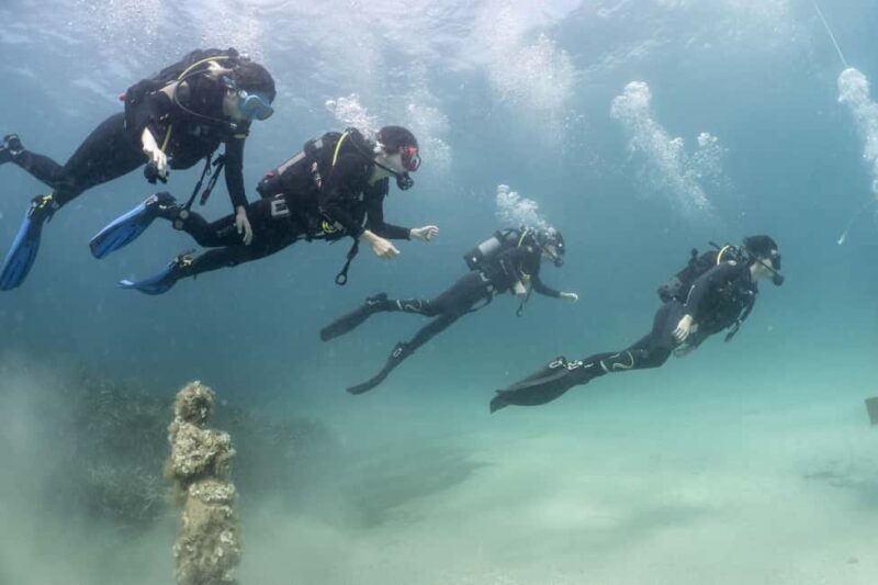 Malta: Beginner Scuba Diving with Dive Registration - The Sum Up