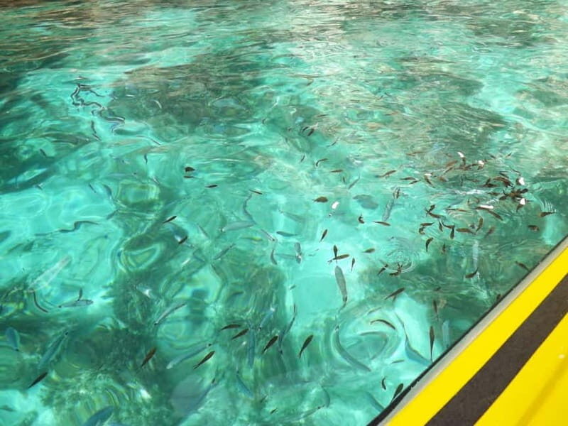 Malta: Blue Lagoon, Crystal Lagoon & Caves Private Speedboat - Practical Details & Tips