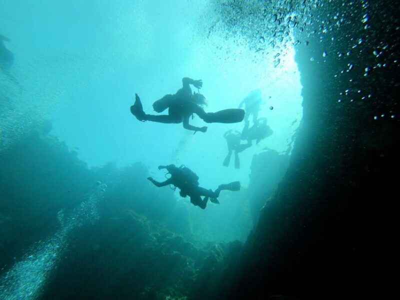 Malta: Boat Dive Trip for Certified Divers - Introduction