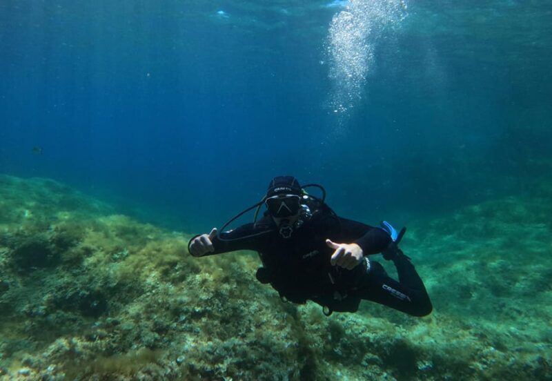 Malta: Boat Dive Trip for Certified Divers - Key Points