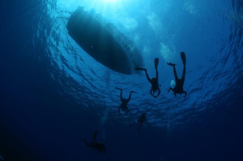 Malta: Boat Dive Trip for Certified Divers - Why This Experience Stands Out