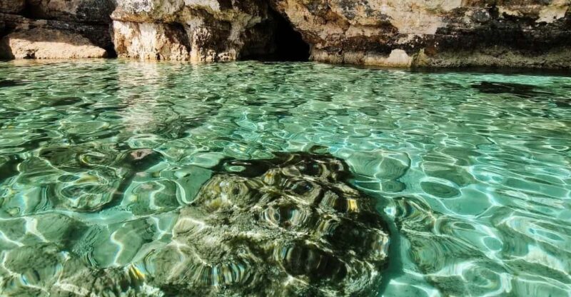 MALTA Comino BlueLagoon 3 hours Private Boat trips - Key Points