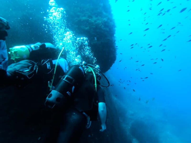 Malta: First Experience Scuba Diving Lesson - Transportation and Group Dynamics