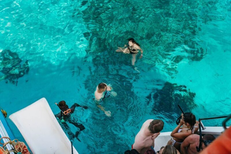 Malta: Gozo & Comino Islands, Blue Lagoon & Seacaves Tour - Key Points