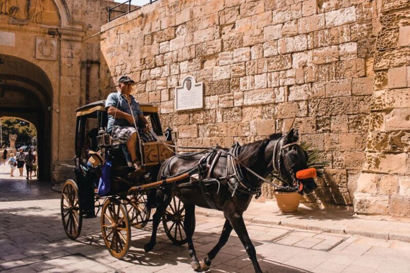Malta: Mdina, Dingli Cliffs and San Anton Botanical Gardens - Who Will Love This Tour?