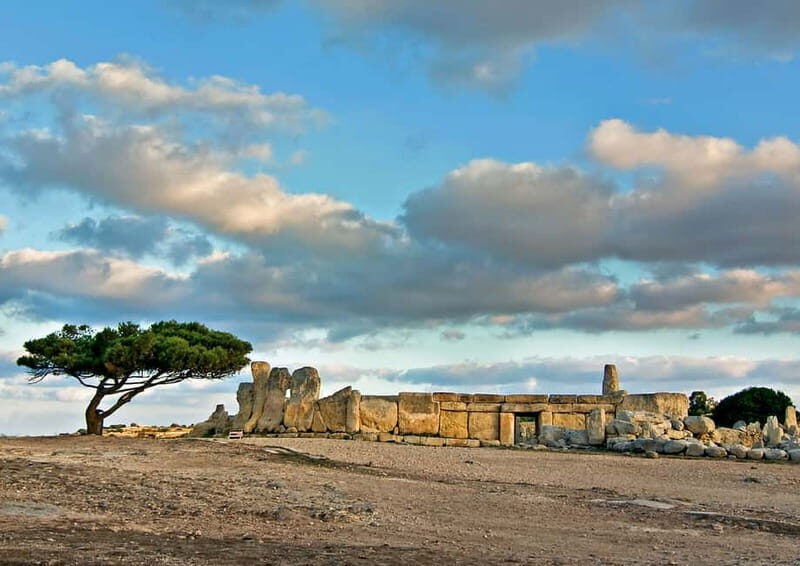 Malta: Private Full-Day Sightseeing Tour - Evaluating the Value and Practical Details
