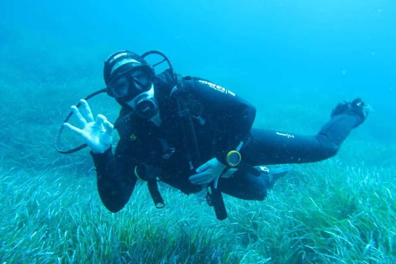 Malta: Scuba Diving Experience for Beginners w/certificate - Key Points