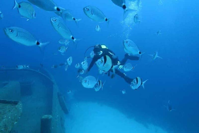 Malta: Scuba Diving Experience for Beginners w/certificate - An In-Depth Look at the Experience