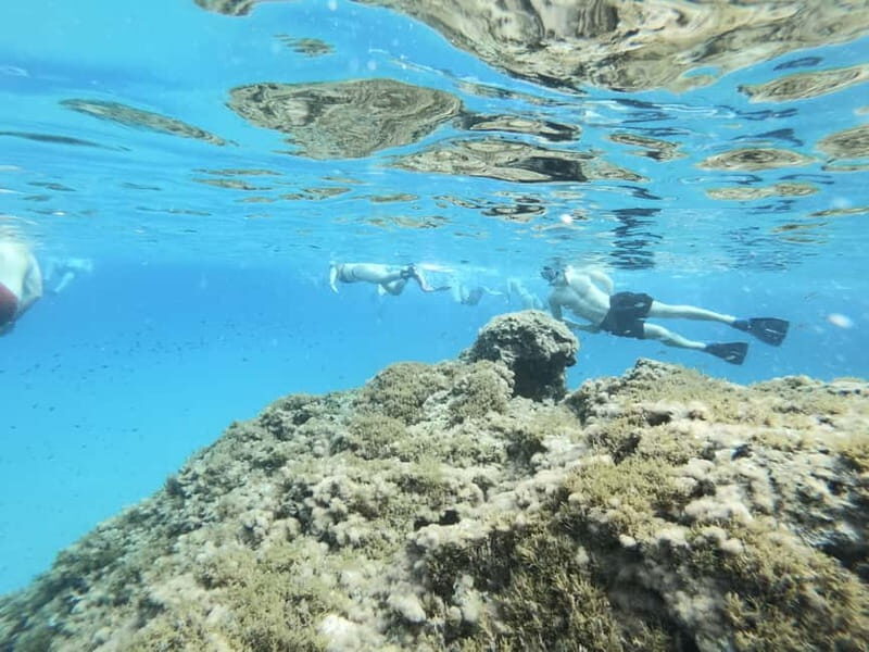 Malta: Snorkeling Tour - Key Points